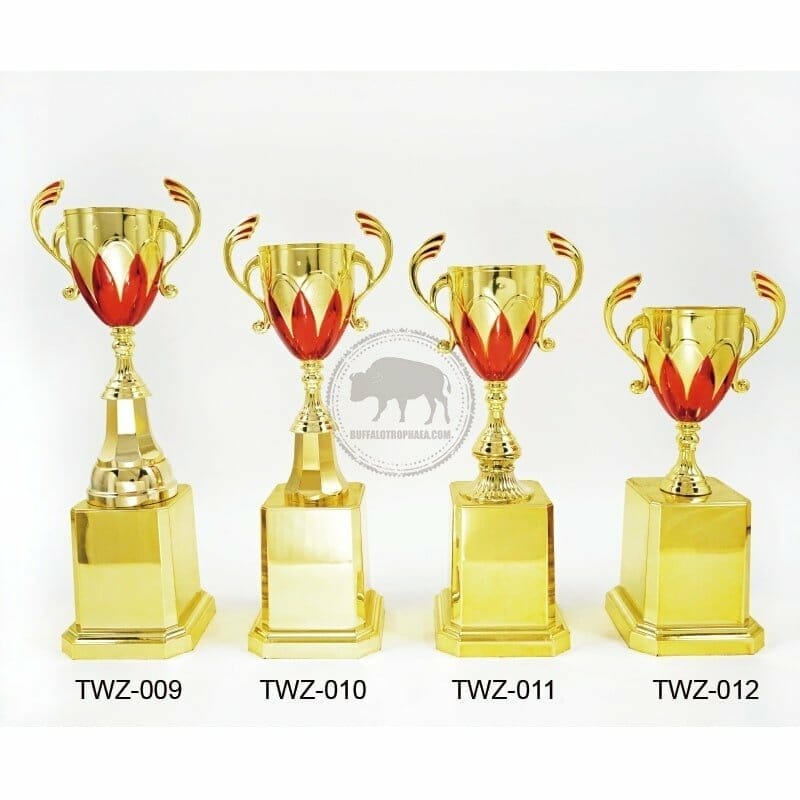 Retirement Trophies | Single-Post King Trophies 009 | Buffalo Trophaea