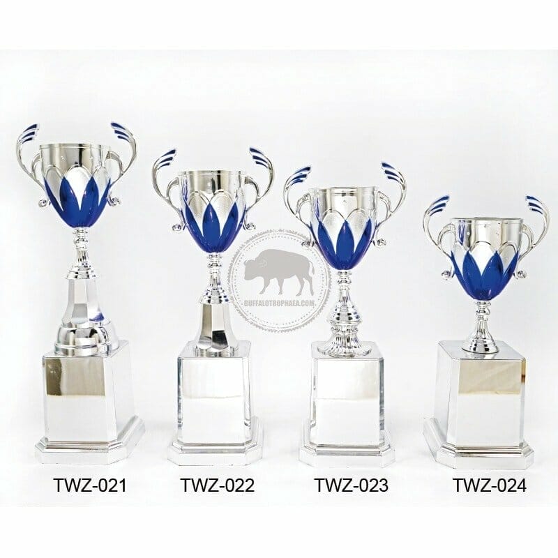 Customized Trophies | Single-Post King Trophies 021 | Buffalo Trophaea